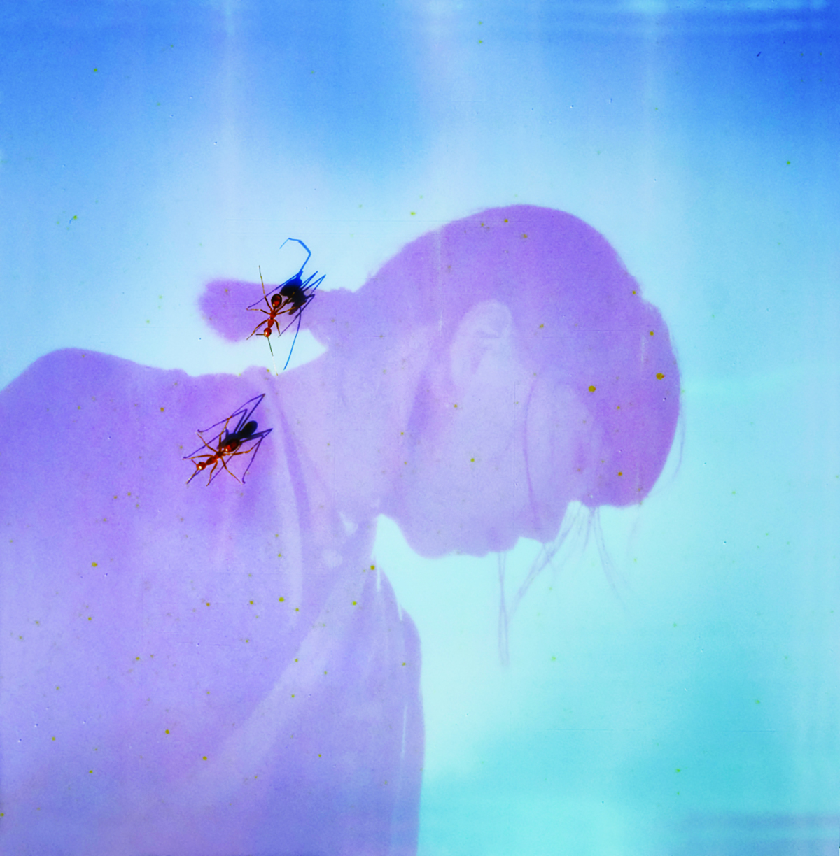 album artwork - Boulder Weekly